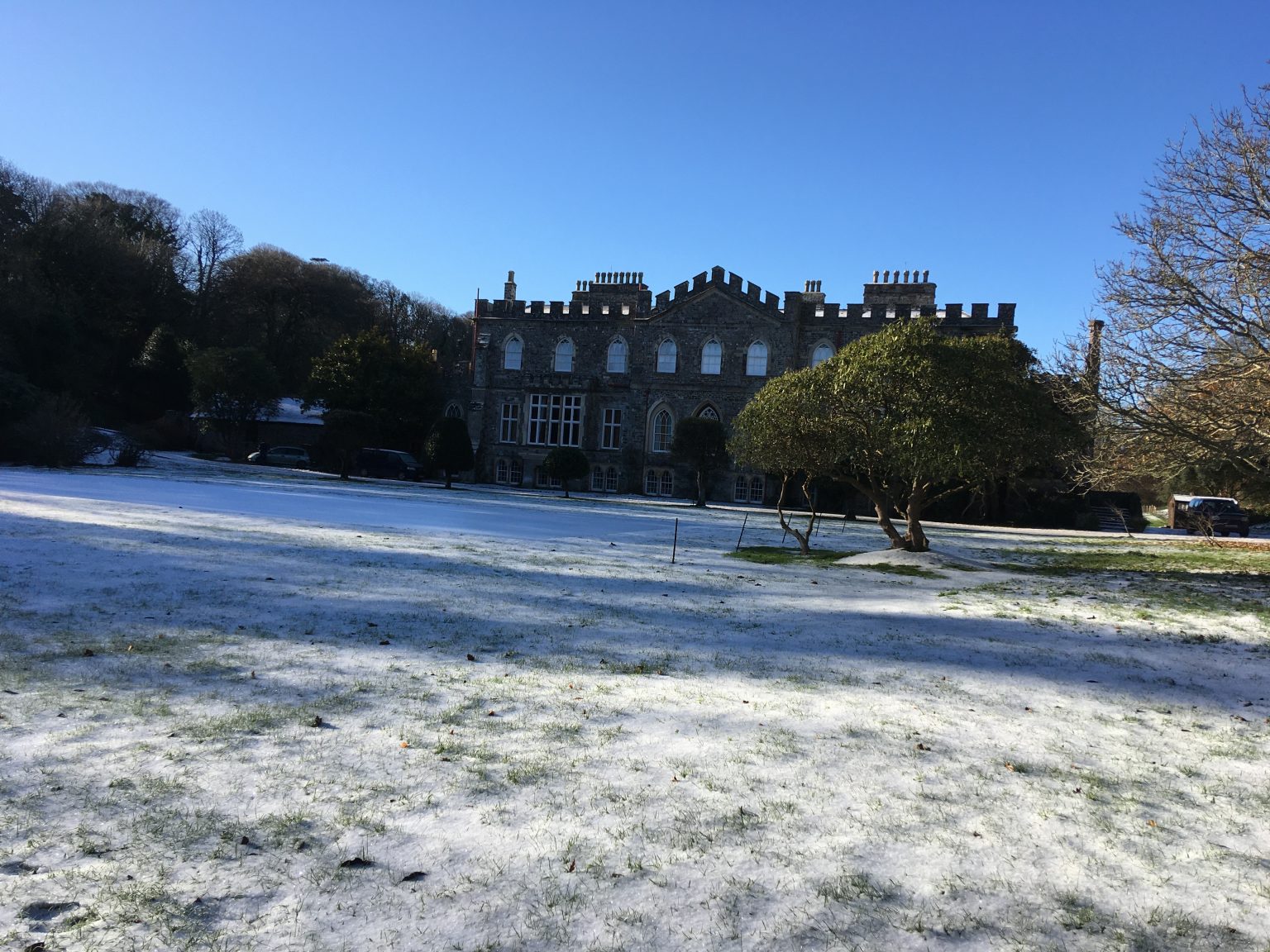 Spring 2023 is in the air! - Hartland Abbey & Gardens